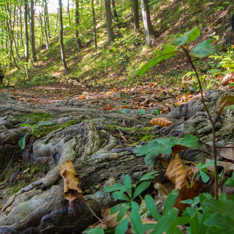 Pusta Bela - Krešimir Stančić Photography
